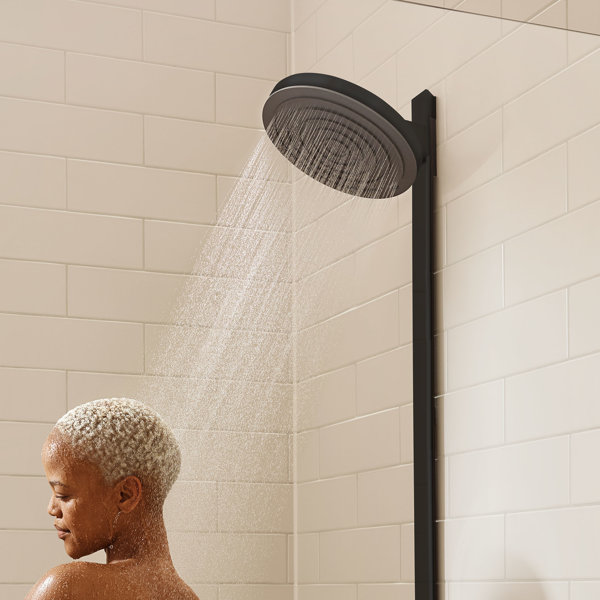 Hansgrohe Pulsify shower head 260 1 spray type, 24140