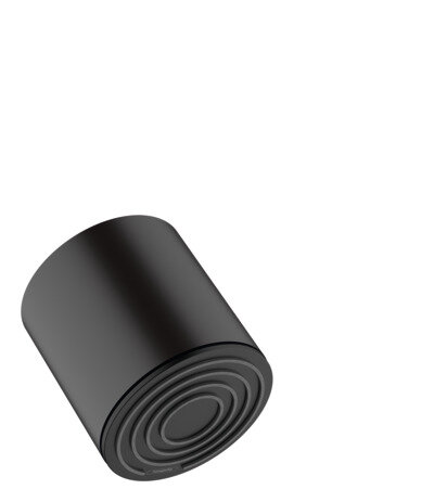 Hansgrohe Pulsify shower head 105 1 spray type, 24130